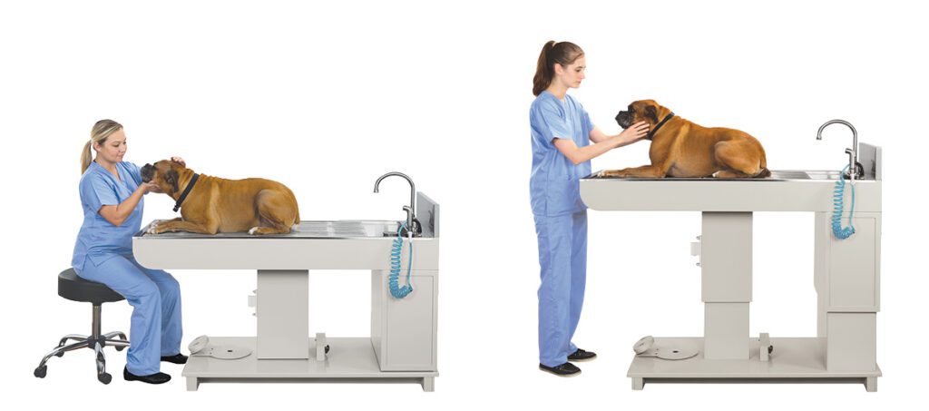 Olympic Hi-Lo Wet Table - Olympic Veterinary