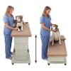 Veterinary Exam Table with Electric Lift | Olympic Veterinary
