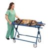 Fold-Up Gurney for Veterinary Clinics | Olympic Veterinary