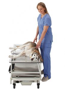 Adjustable Veterinary Ultrasound Table | Olympic Veterinary