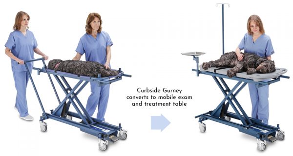 Veterinary Electric Lift Table | Olympic Veterinary