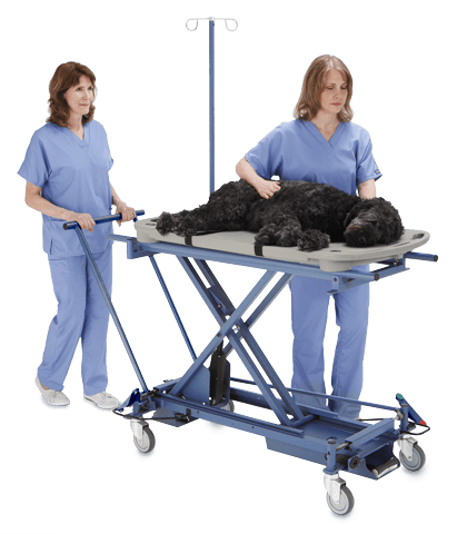 Veterinary Equipment for Clinics | Olympic Veterinary