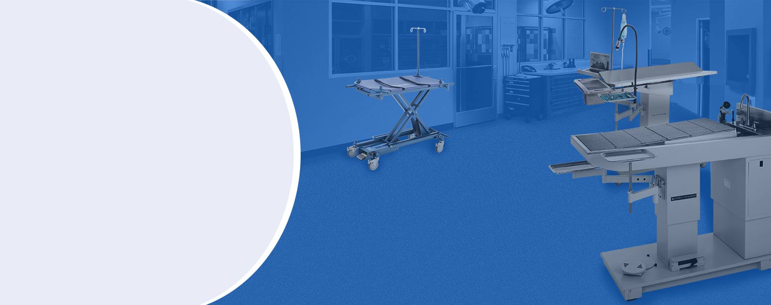 Home - Olympic Veterinary