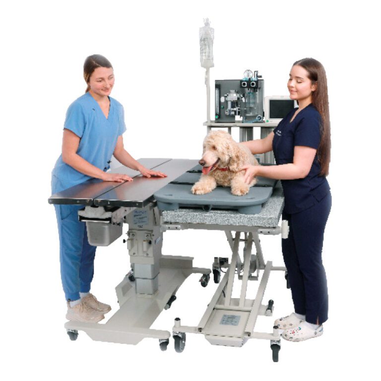 Veterinary Surgical Support Gurney | Olympic Veterinary