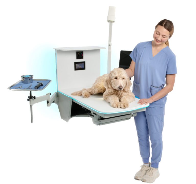 Veterinary Folding Exam Station | Olympic Veterinary