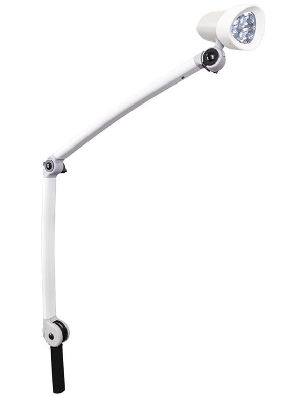 LED Lighting for Veterinary Procedures | Olympic Veterinary