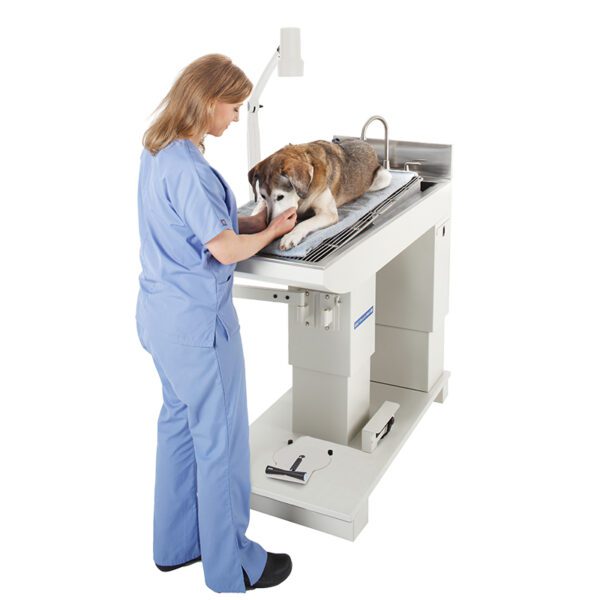 LED Lighting for Veterinary Procedures | Olympic Veterinary
