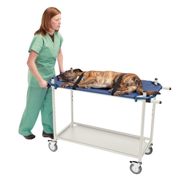 MRI-Compatible Veterinary Gurney | Olympic Veterinary